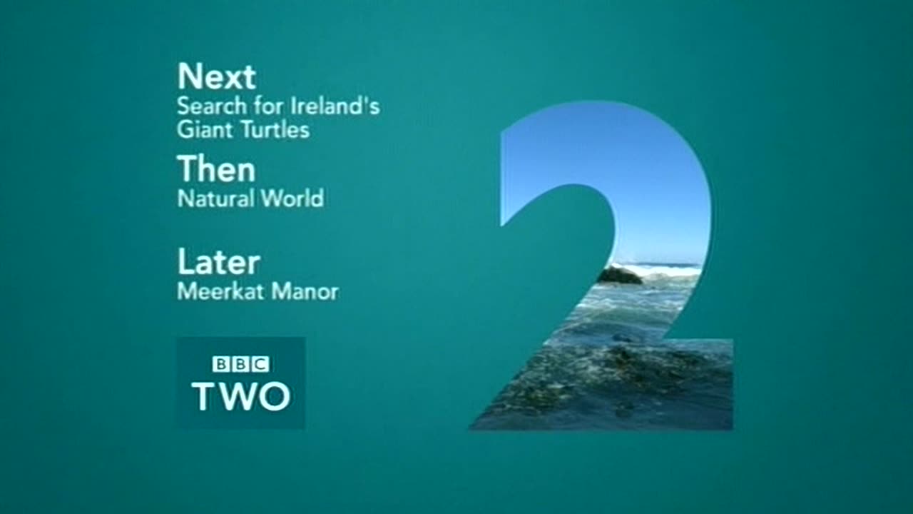 TV Whirl - BBC Two (2007-2014)