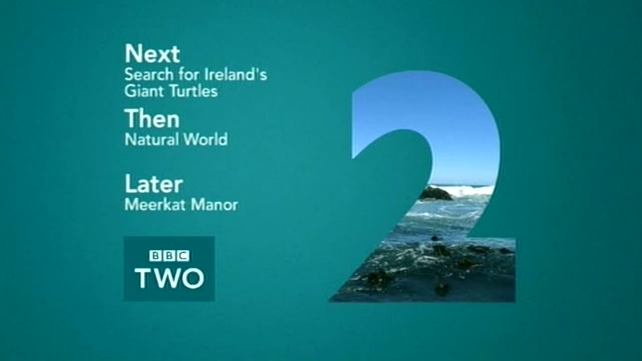 TV Whirl - BBC Two (2007-2014)