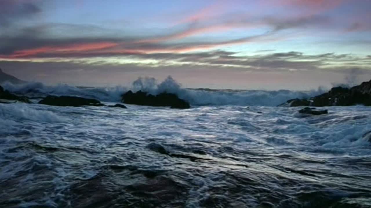 TV Whirl - BBC Two (2007-2014)