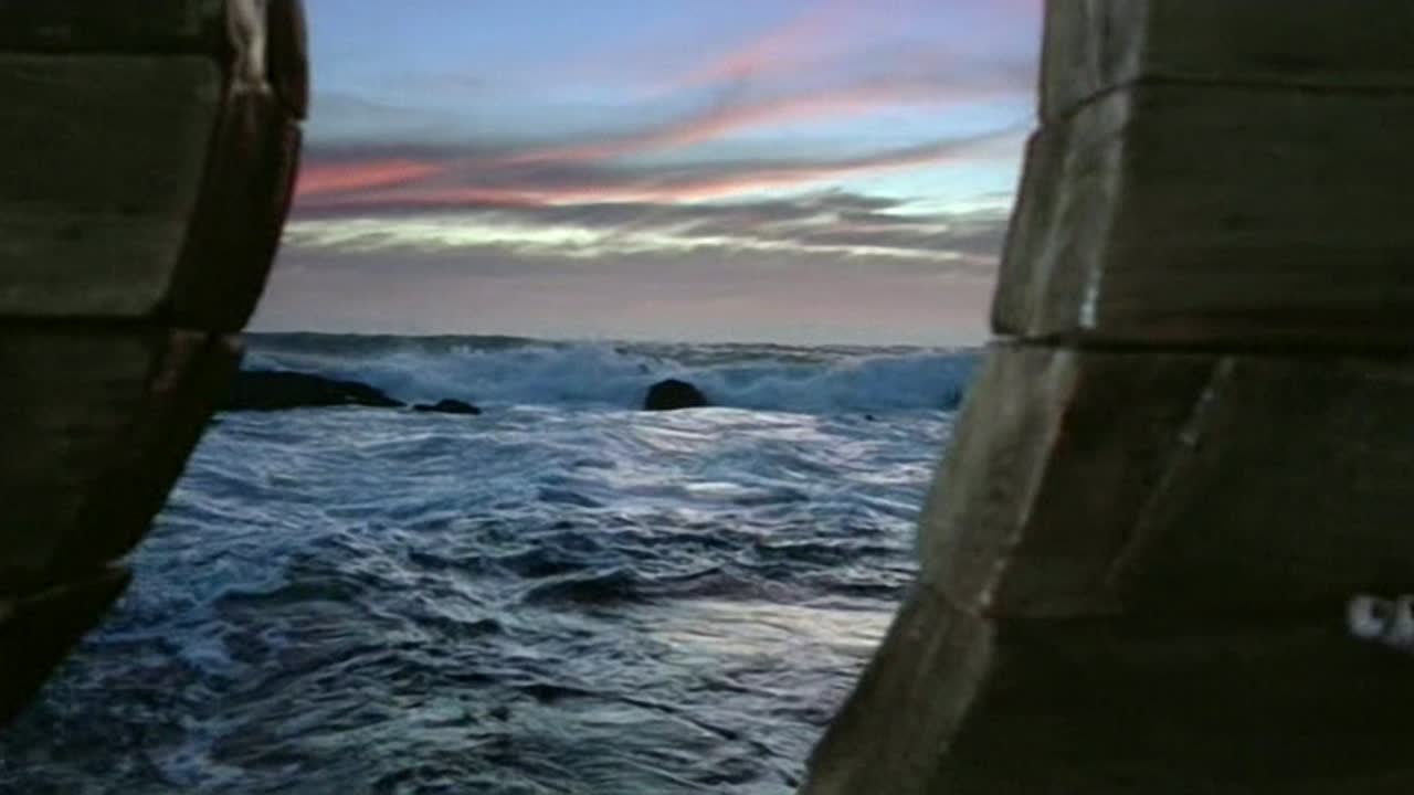 TV Whirl - BBC Two (2007-2014)